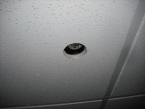 Which Fire Sprinkler Head Cover Plate Do I Need?