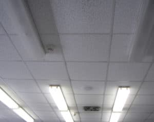 Flexible Fire Sprinkler Drops: Ceilings, Sprinkler Armovers & Seismic ...