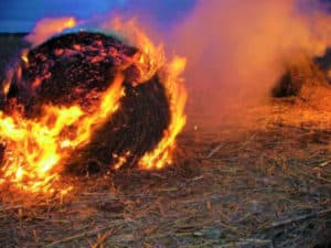 Fire Protection in Horse Barns and Stables: NFPA 150 Requirements