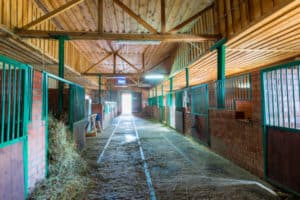 Fire Protection in Horse Barns and Stables: NFPA 150 Requirements