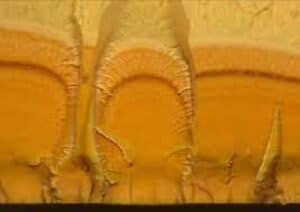 How to Avoid CPVC Pipe Problems Due to Chemical Incompatibility