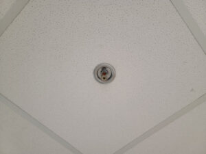 Missing Fire Sprinkler Escutcheons: The Real Performance Impacts